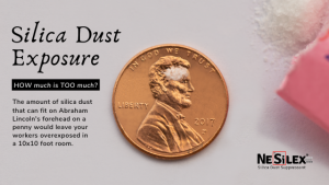 What Does A Penny Have To Do With Silica Dust Nesilex